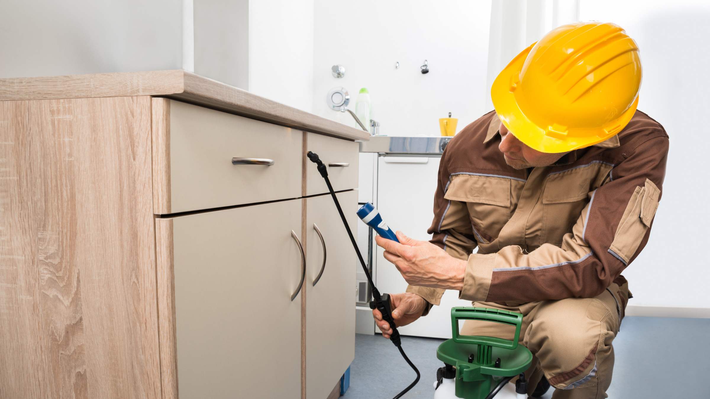 Termite Control Ajax | Pesticon Pest Control