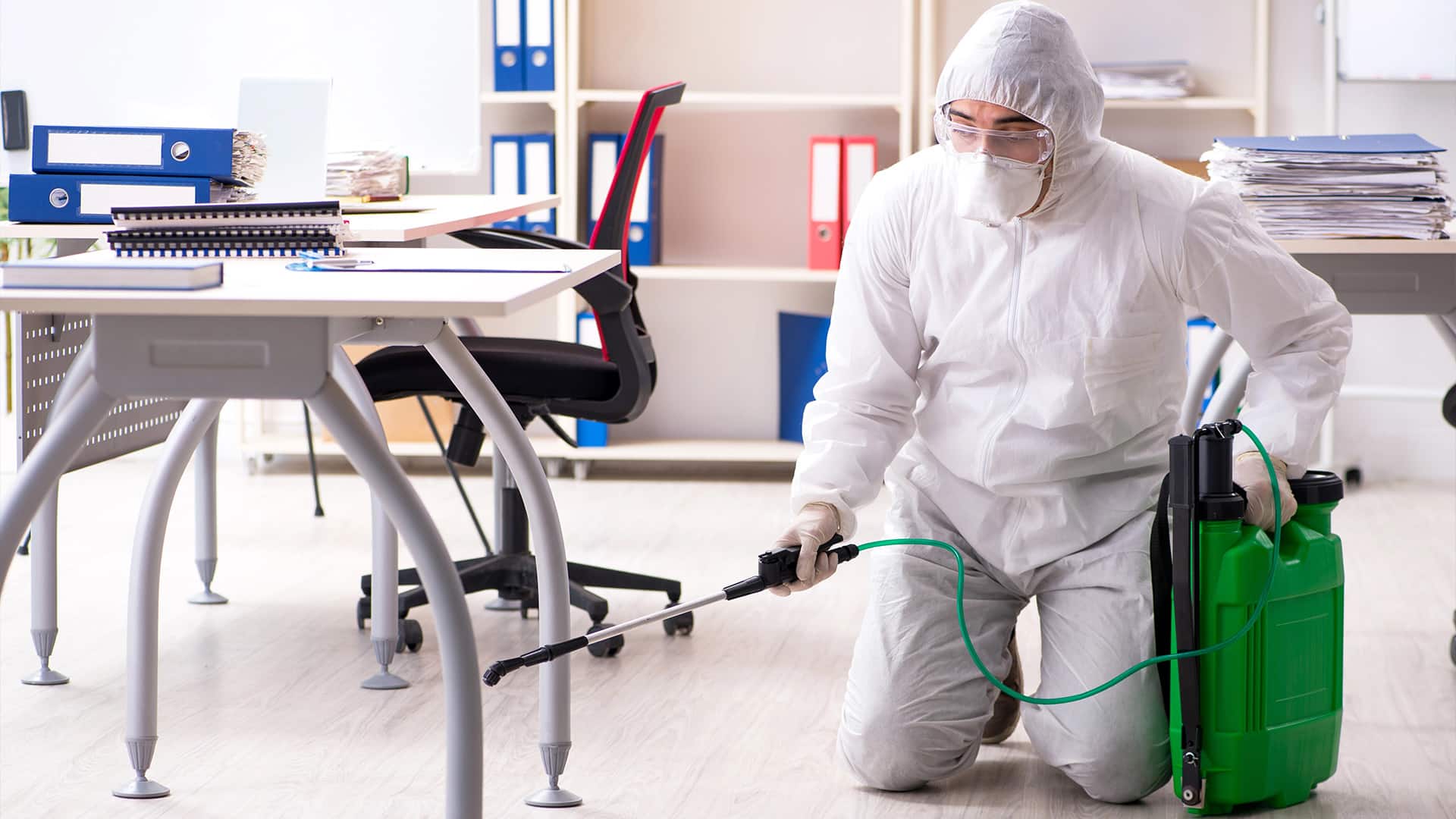 Toronto Office Building Pest Control | Best Pest Control Toronto