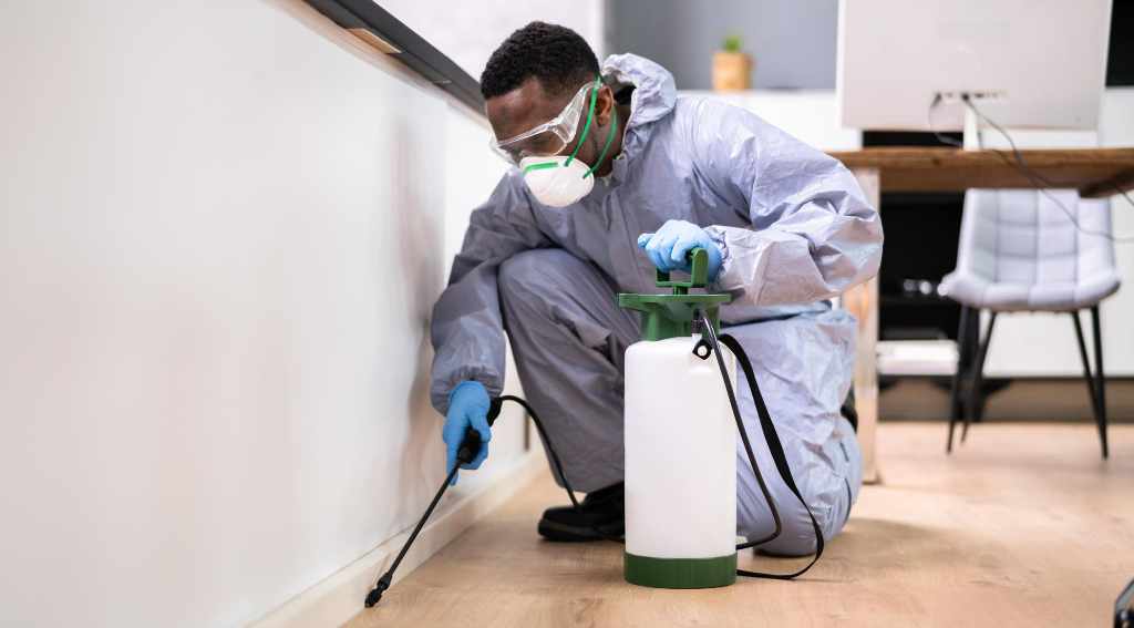 The High Stakes of Mice Control in Commercial Properties