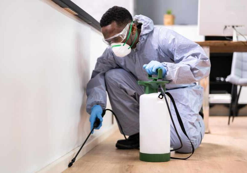 Mosquito Control in Cambridge | Safe, Fast & Guaranteed Relief